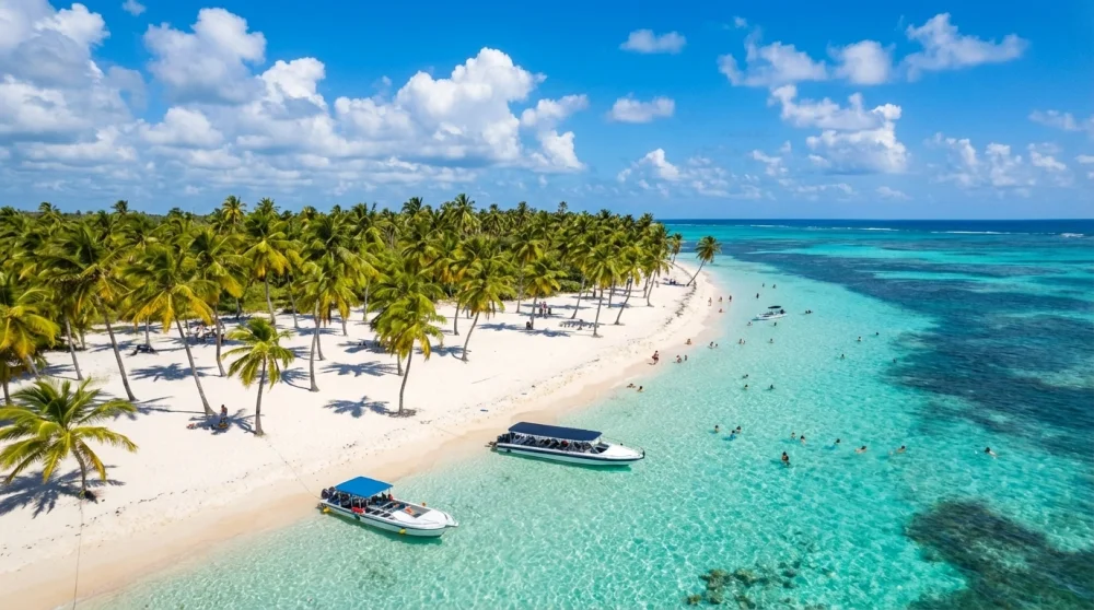 25 Best Things to Do in Auckland: Local's Guide